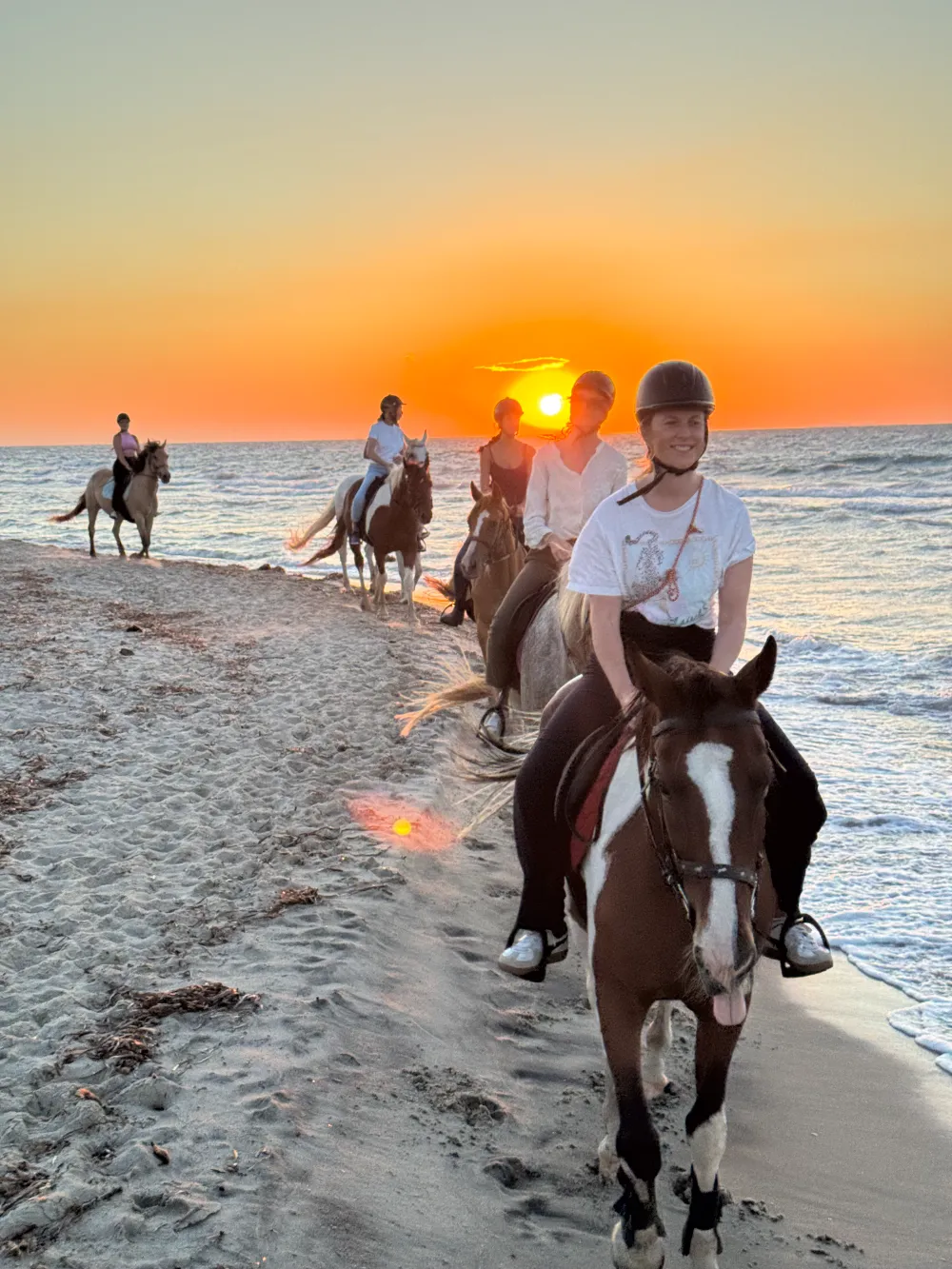 ERIKA'S HORSE FARM • Our Horse Rides